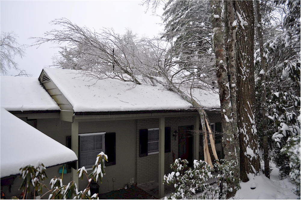 Jan. 30 2010 Highlands NC