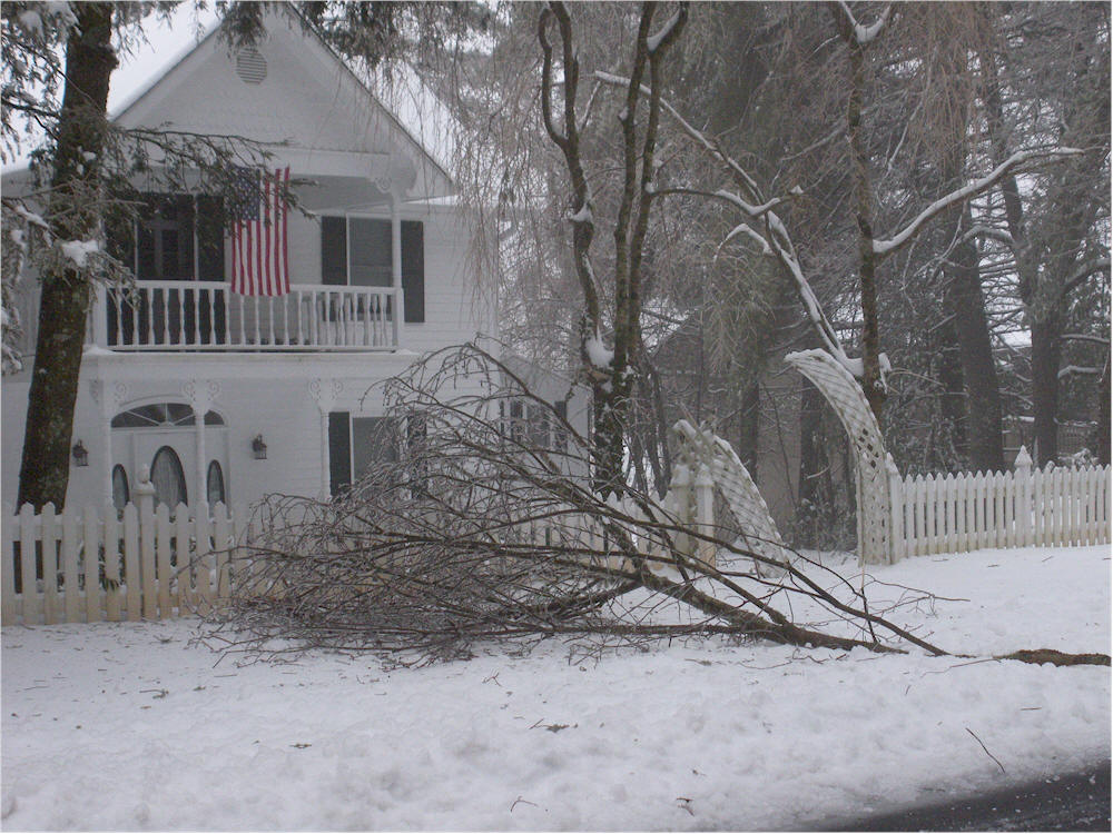 Jan. 30 2010 Highlands NC